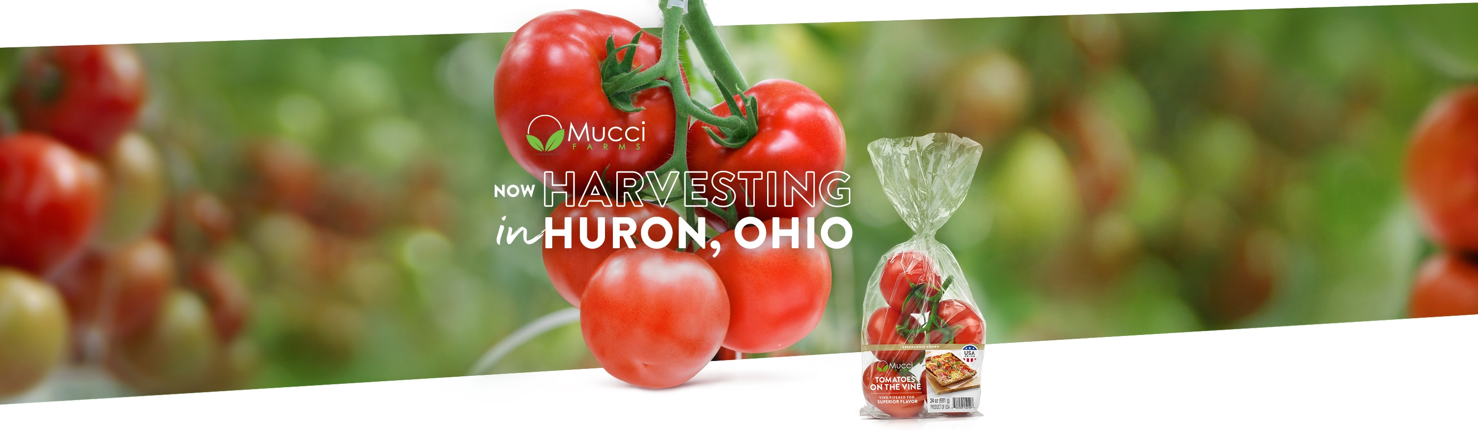 Mucci Farms